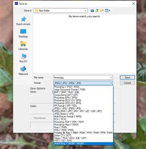 Image result for How to Open WebP File in Photoshop
