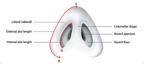 Image result for Alar Guide