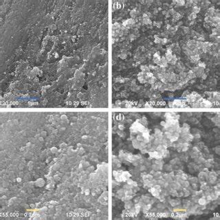 Image result for Humic Acid Sem