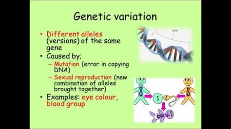 Image result for Variation Science