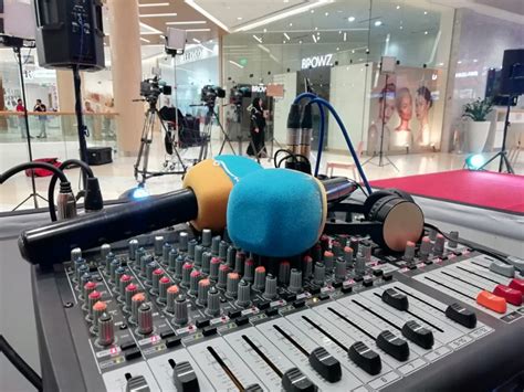 Image result for Sound Effects System