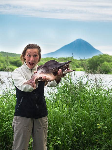 Image result for Screaming Fish Finger