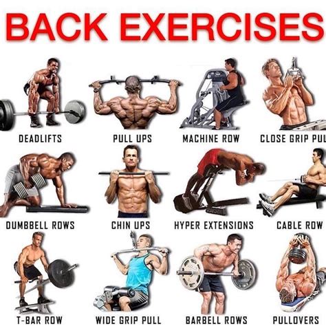 Image result for Back Workout for Definition