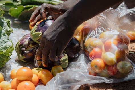 Image result for Reversed Reversed Reversed Reversedreverse