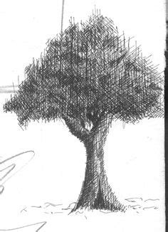 Image result for How to Draw a Tree in Hatching