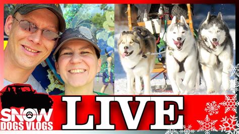 Image result for Snow Dogs Vlogs Mail