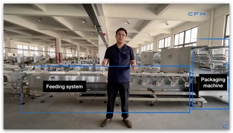 Image result for Flow Wrapper