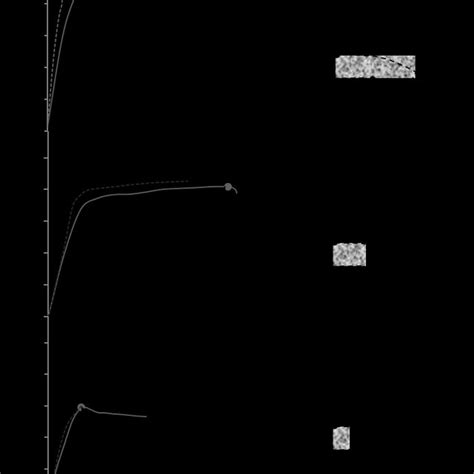 Image result for Deflection Curve