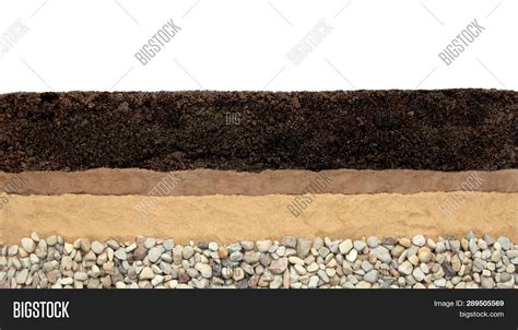 Image result for Humus Soil Layer