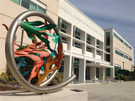 Image result for Biomedical Engineering Colleges