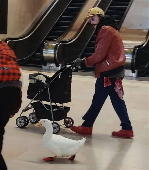 Image result for Totally Unpredictable