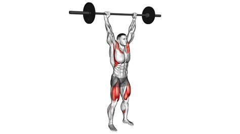 Image result for Push Back Exercise