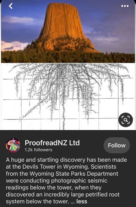 Image result for Devils Tower Tree Stump