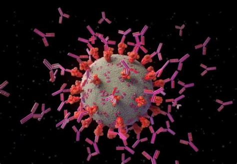 Image result for Biomedical Inventions