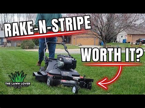 Image result for Toro TimeMaster Dethatcher Attachment