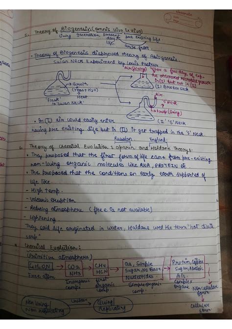 Image result for Evolution Activities Grade 12