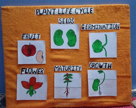 Image result for Simple Science Teaching Aids