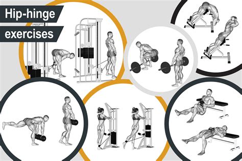 Image result for Hinge Exercise Variations