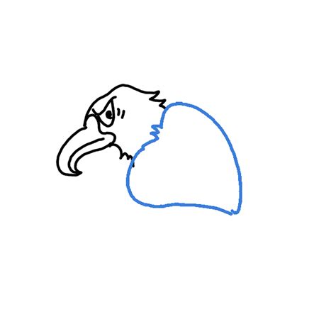 Image result for Hawk Drawing Brid