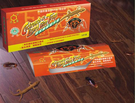 Image result for Cockroach Lizard Trap