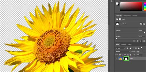 Image result for Make Color Transparent