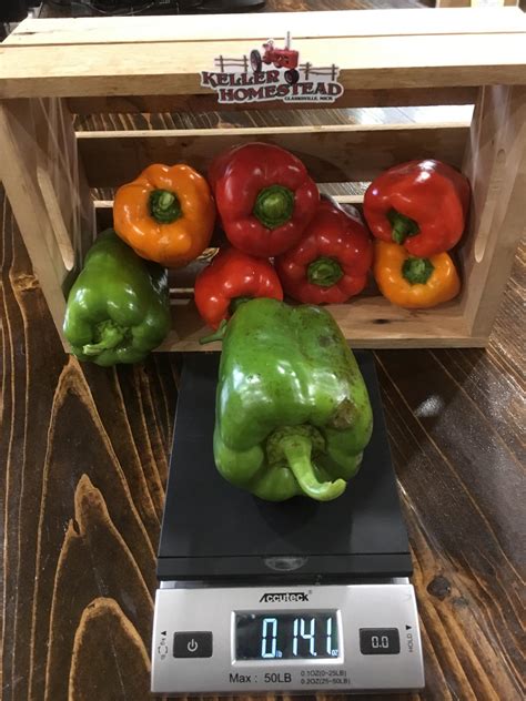 Image result for Planting in Humus