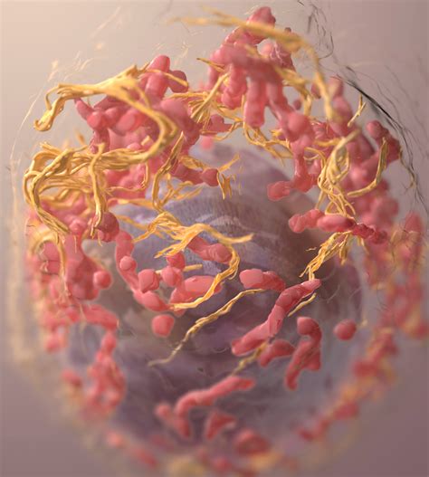 Image result for Single Cell Genomics