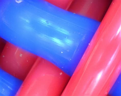 Magnification Examples — Dino-Lite Digital Microscope | Americas