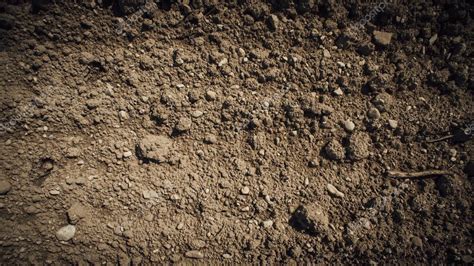 Image result for Soil Contains Humus