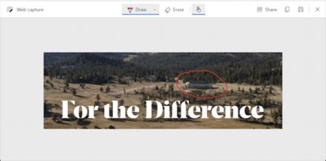 Image result for How to Use Web Capture