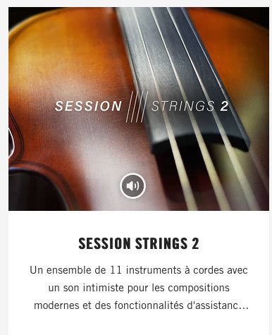 Image result for Strings Ensemble Native Instruments