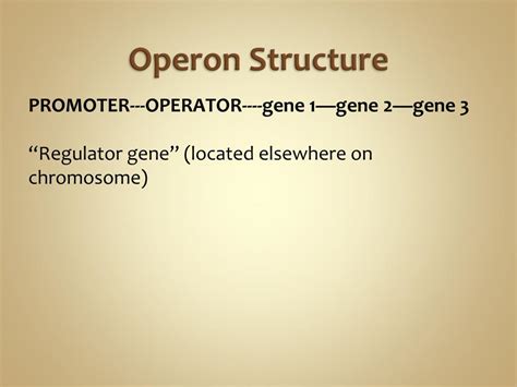 Image result for Operon System
