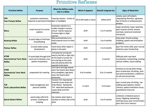 Image result for And Are Examples of Primitive Reflexes