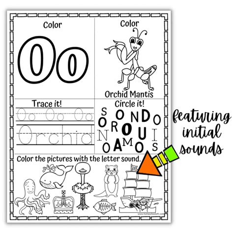 Image result for Read Aloud Insect Alphabet Book