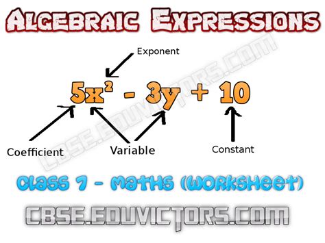 Image result for Algebraic Expression of Class 7