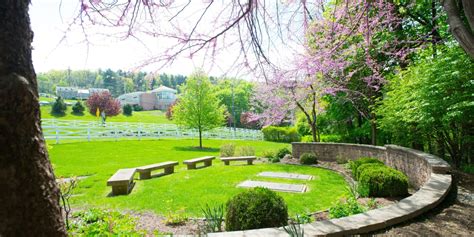 Image result for Recovery Support Services