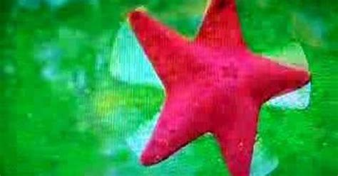 Image result for Finding Nemo Filthy Tank Scene