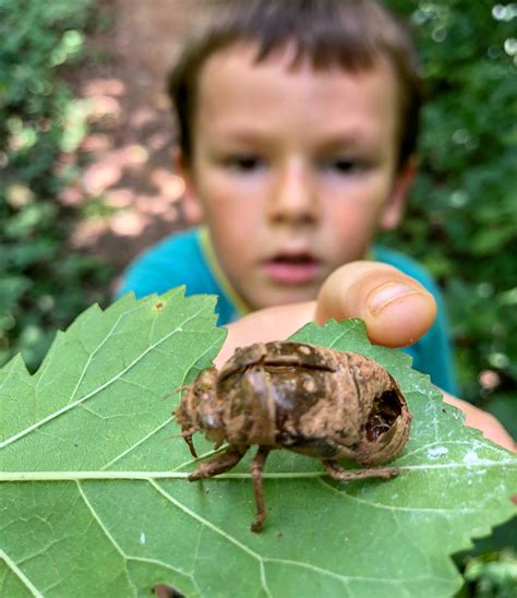 Image result for CC Cycle 1 Week 14 Math