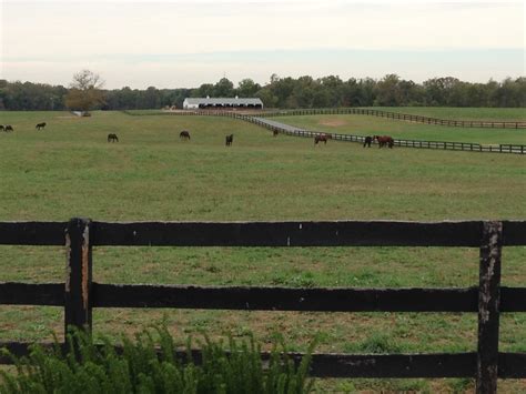 Image result for Conservation Stewardship Program