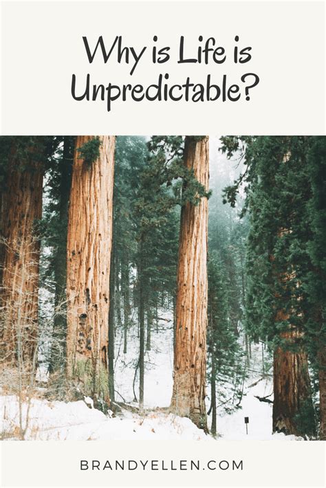 Image result for Unpredictable Life Events Examples