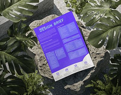 Image result for Brief Layout