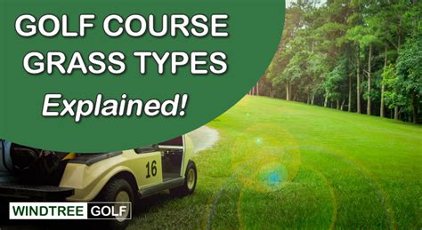 Image result for Golf Course Grass Types