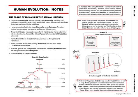 Image result for Grade 12 Life Sciences Lessons On Evolution