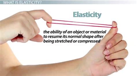 Image result for Basic Physics Elasticity