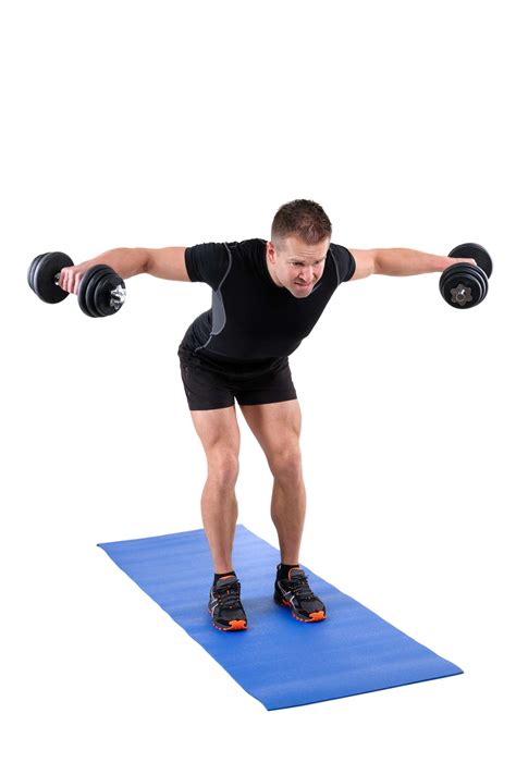 Image result for Back Fly Exercise