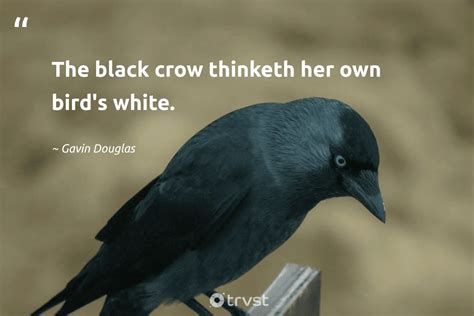 Image result for Crow Types