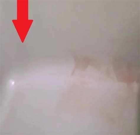 Image result for Real Transparent Cleaning Tutorial