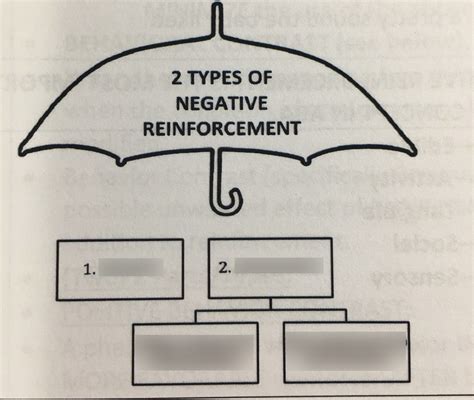 Image result for 2 Examples of Negative Reinforcement