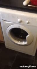 Image result for Washing Machine Vibration GIF