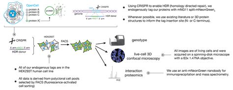 Image result for OpenStack Cell V2